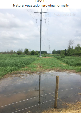 Top 5 Reasons to Use DURA-BASE Heavy-Duty composite mats in Your ...